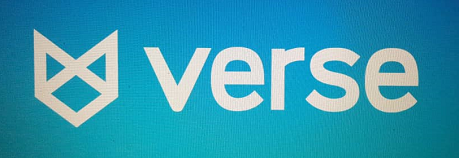 Portfolio Management – Verse Financial Corporation